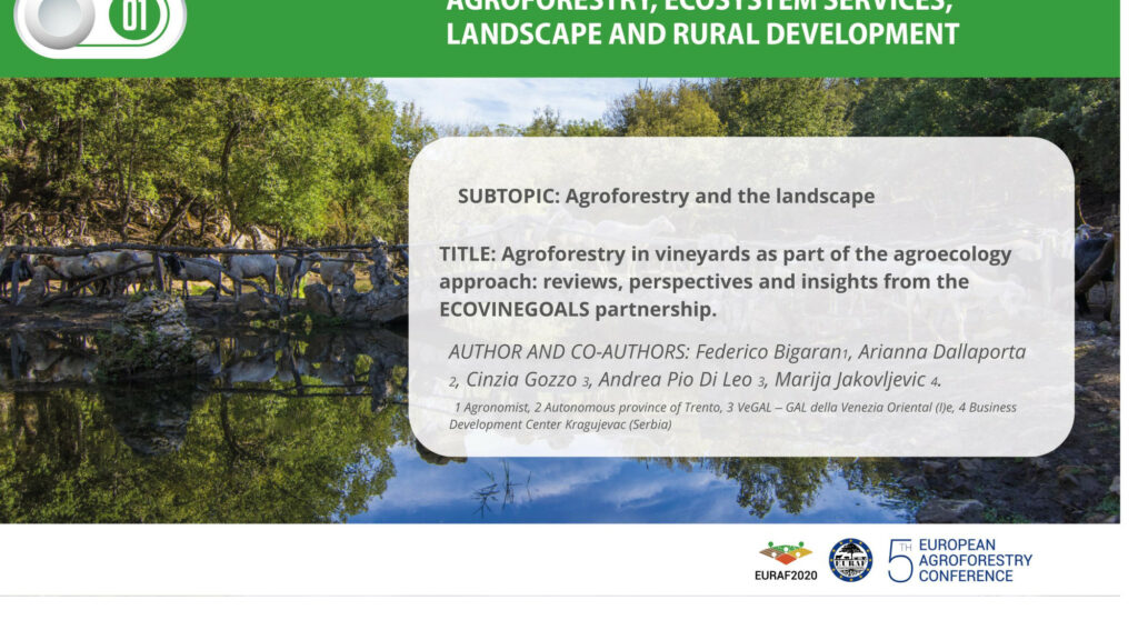 Deliverables-Outputs – Eco Vine Platform