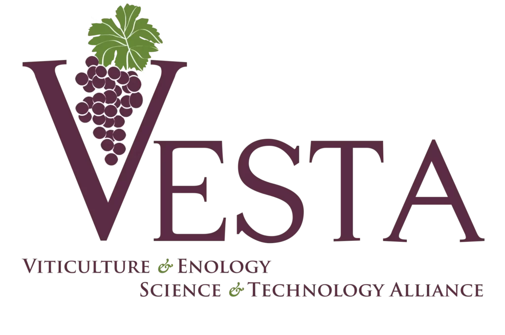 Networks-Initiatives – Eco Vine Platform